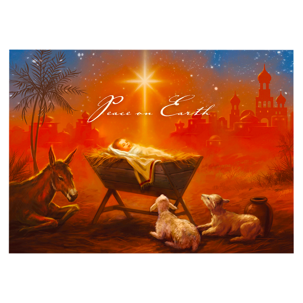 Baby Jesus With Animals